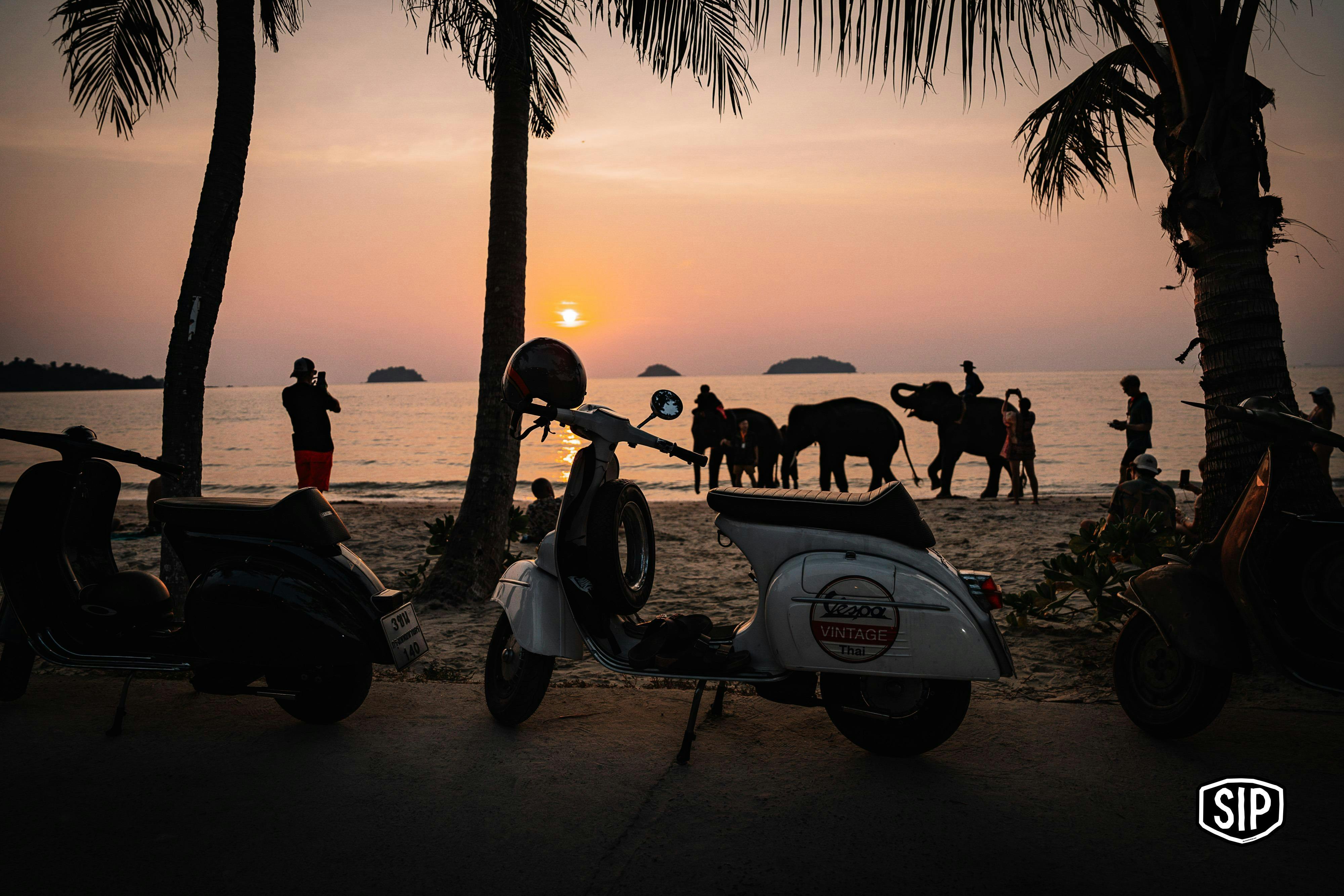 SIP Scootershop rétrospective de l'année 2025 | SIP Team-Blog | SIP ...