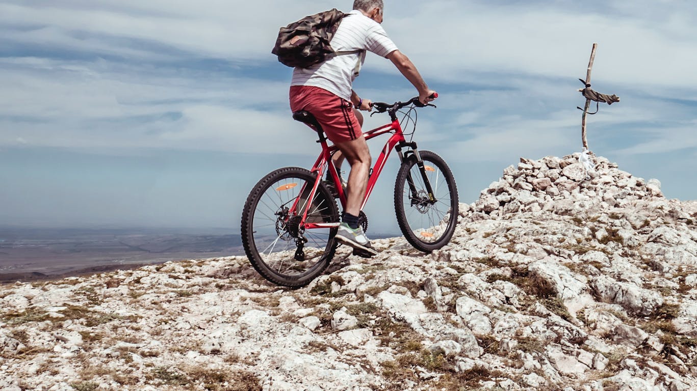 Die Manipulationserkennung bei E-Bikes mit BOSCH Motoren | E-Bike ...